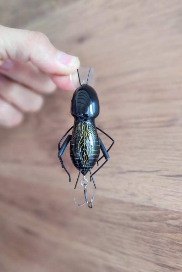 Shop – DM Cricket Lures