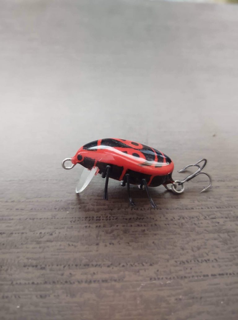 Shop – DM Cricket Lures